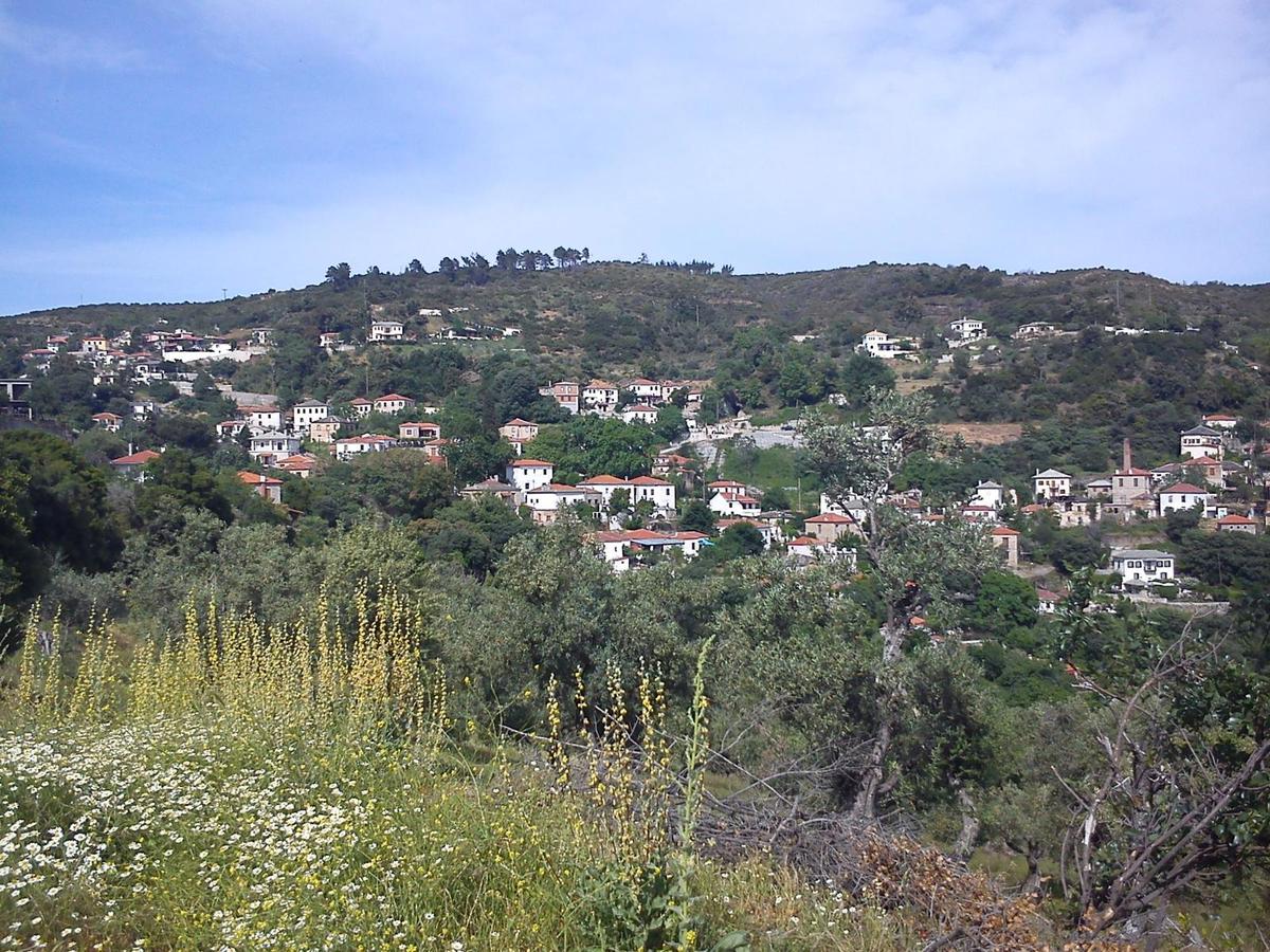 Volosweb - Footpaths of Pelion / Afissos - Afetes [loop]
