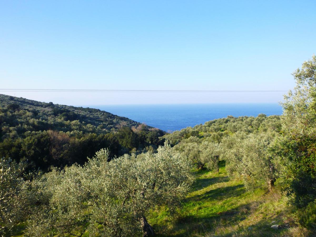 Volosweb - Footpaths of Pelion / Lefokastro - Argalasti - Kalamos [loop]