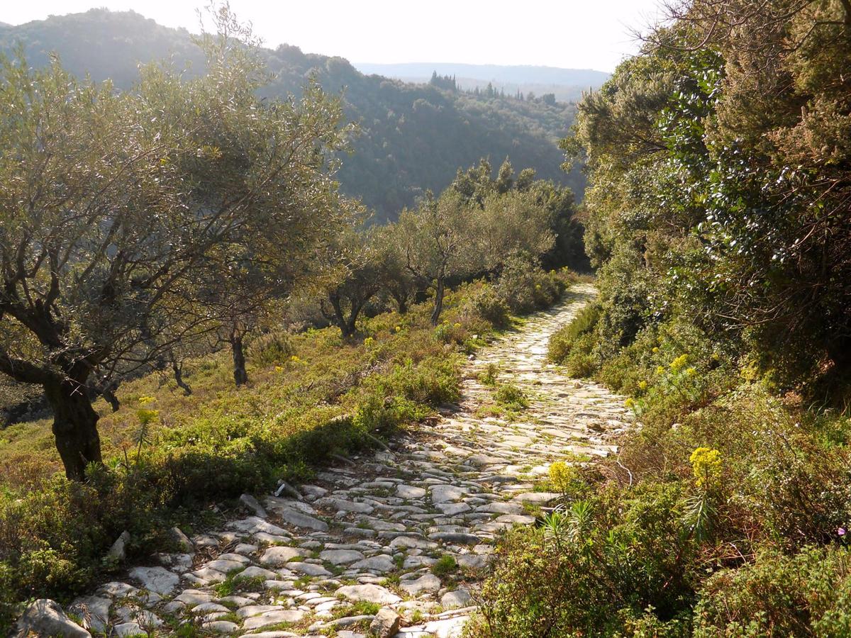 Volosweb - Footpaths of Pelion / Milies - Panagiotiko Dam - Boufa